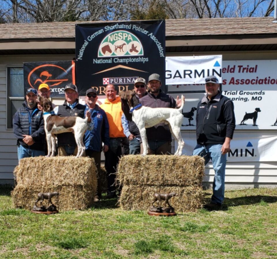 National Championship | National German Shorthaired Pointer Association