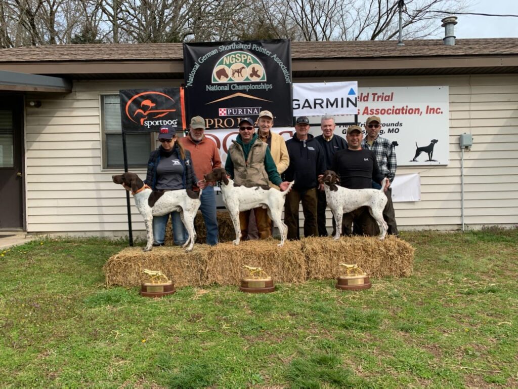 National Championship | National German Shorthaired Pointer Association